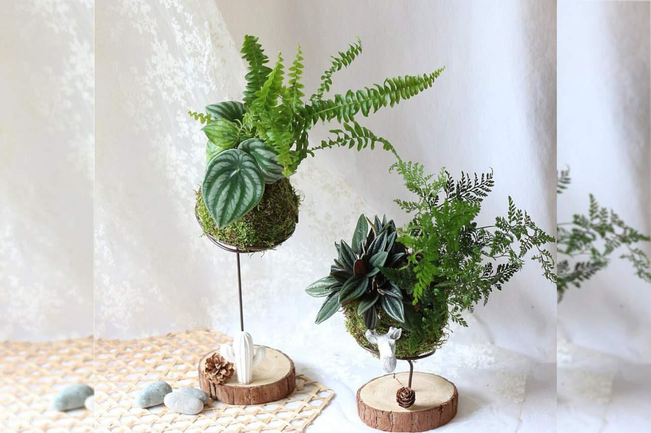 DIY bunga studio ekologi asli Taipei - Klook Indonesia