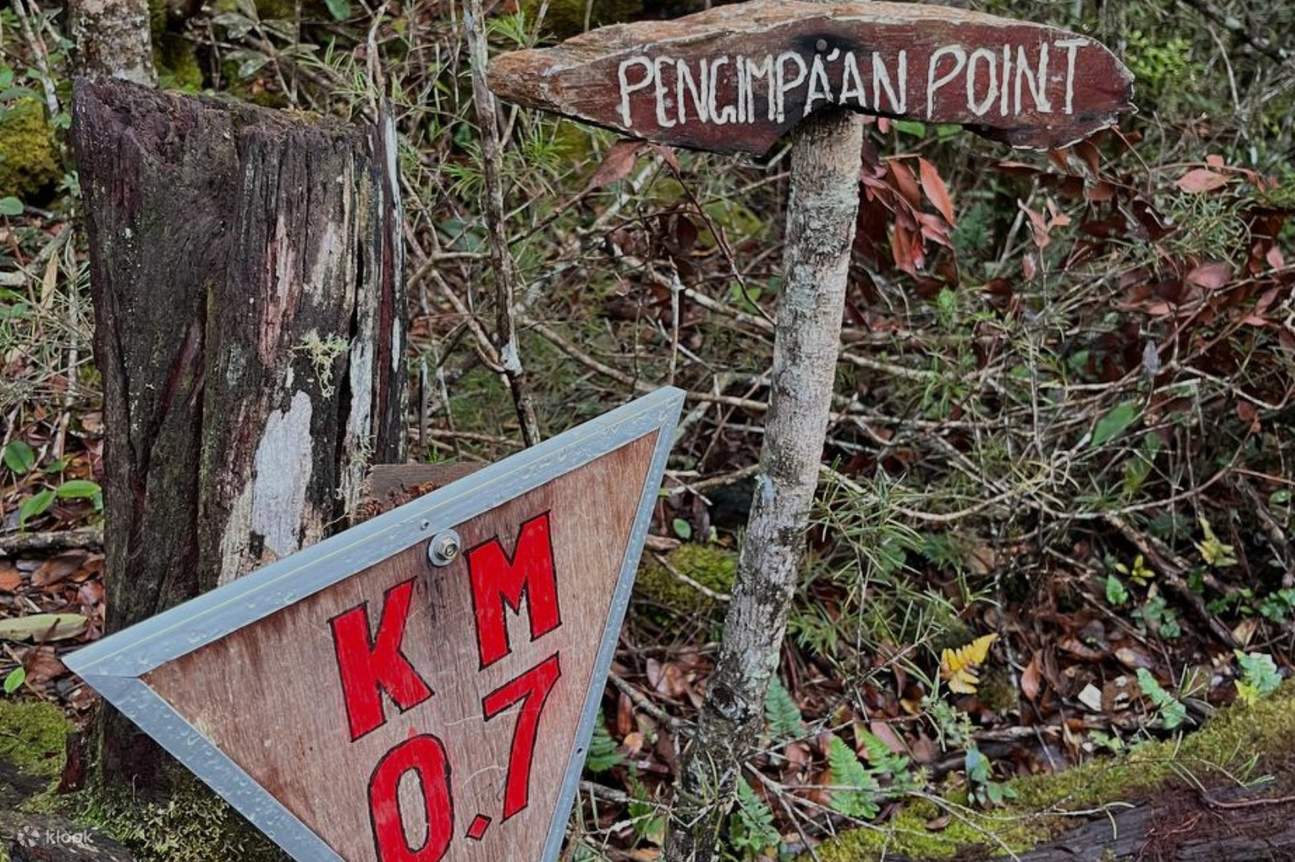 Maragang Hill Crocker Range Day Hike – Scenic Adventure from Kota ...