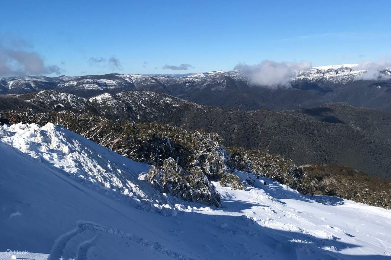 Guided Mount Buller Tour from Melbourne - Klook India