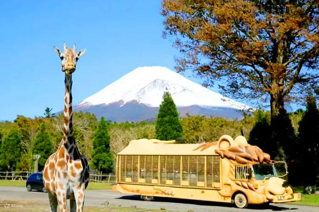 Family Trip: FUJI SAFARI PARK & Oshino Hakkai & Oishi Park Day Trip ...