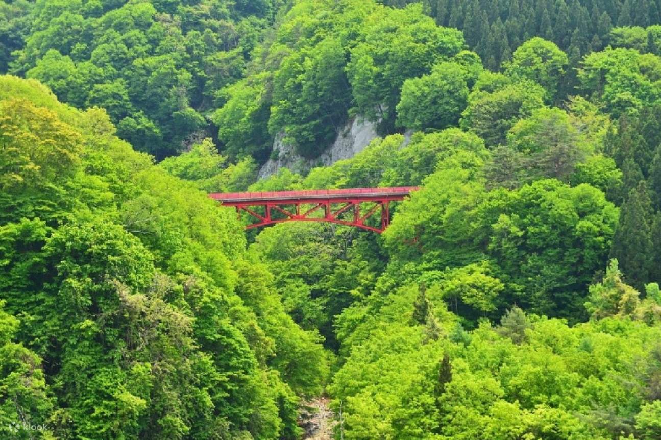 Nagano Waterfall & Outdoor Onsen Half-Day Private Tour - Klook India