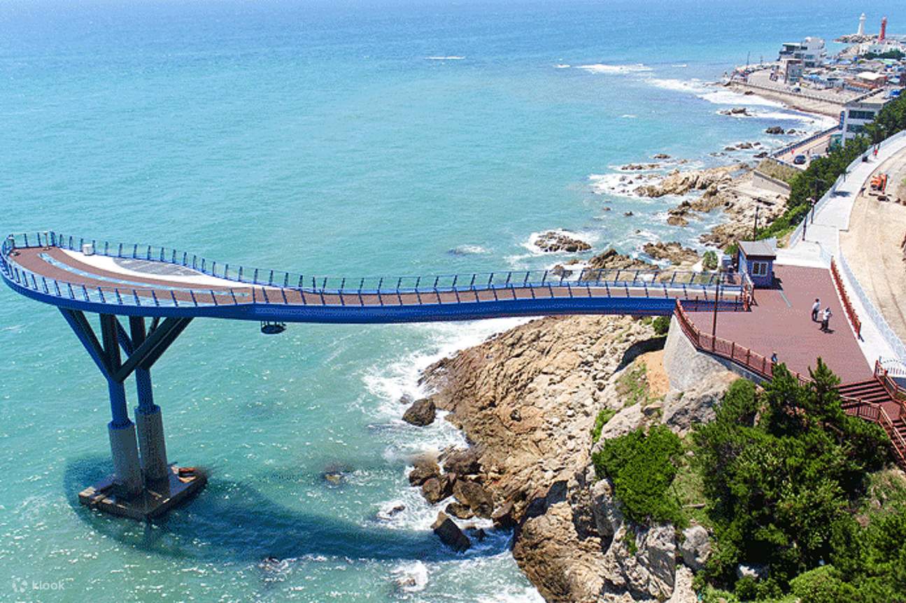 BUSAN + ULSAN 3 Days Tour - Klook