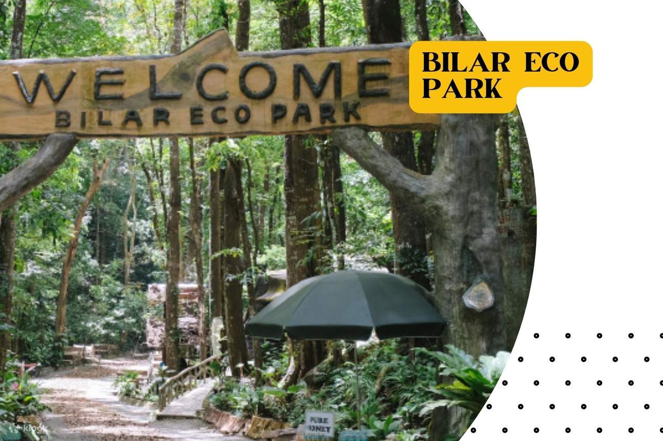 Explore the Best of Bohol: Countryside Tour to Chocolate Hills, Tarsier ...