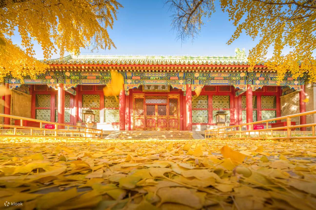 Beijing Prince Gong's Mansion & Lama Temple Double Scenic One-Day Tour ...