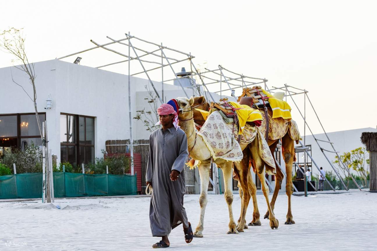 Full-Day Desert Safari in Doha - Klook Hong Kong