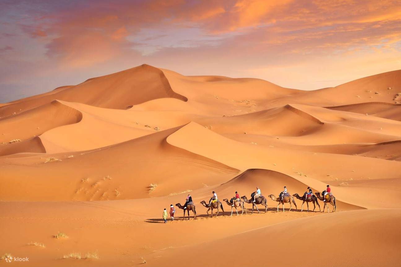 9 Days 8 Nights Morocco Private Tour - Klook