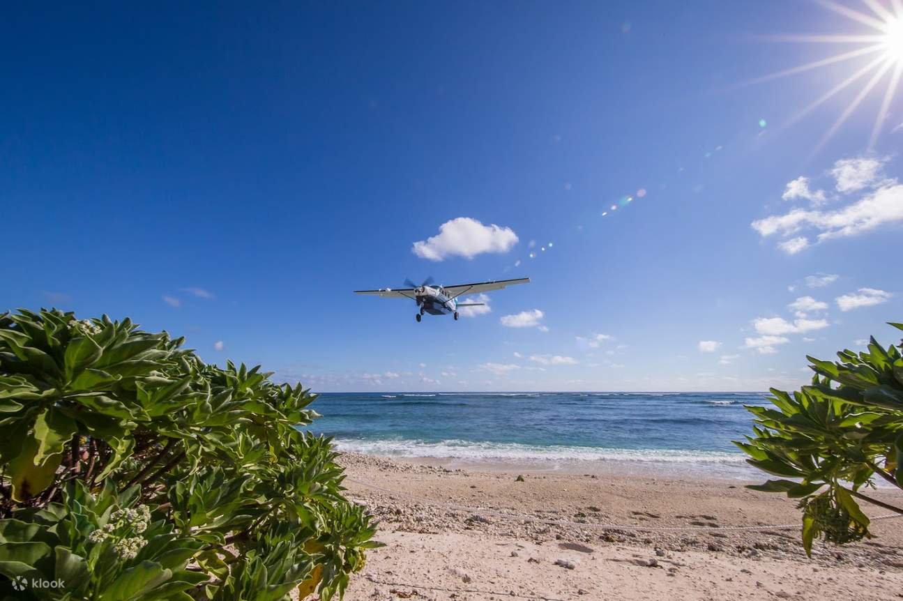 Lady Elliot Island Great Barrier Reef Day Tour from Gold Coast - Klook