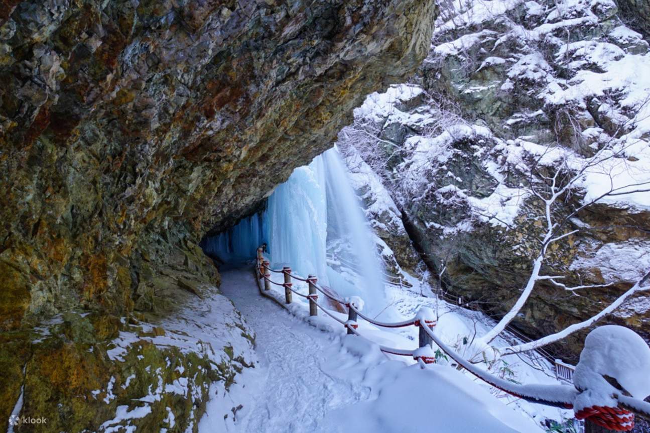 Tur Pribadi Setengah Hari ke Air Terjun Nagano & Pemandian Air Panas ...