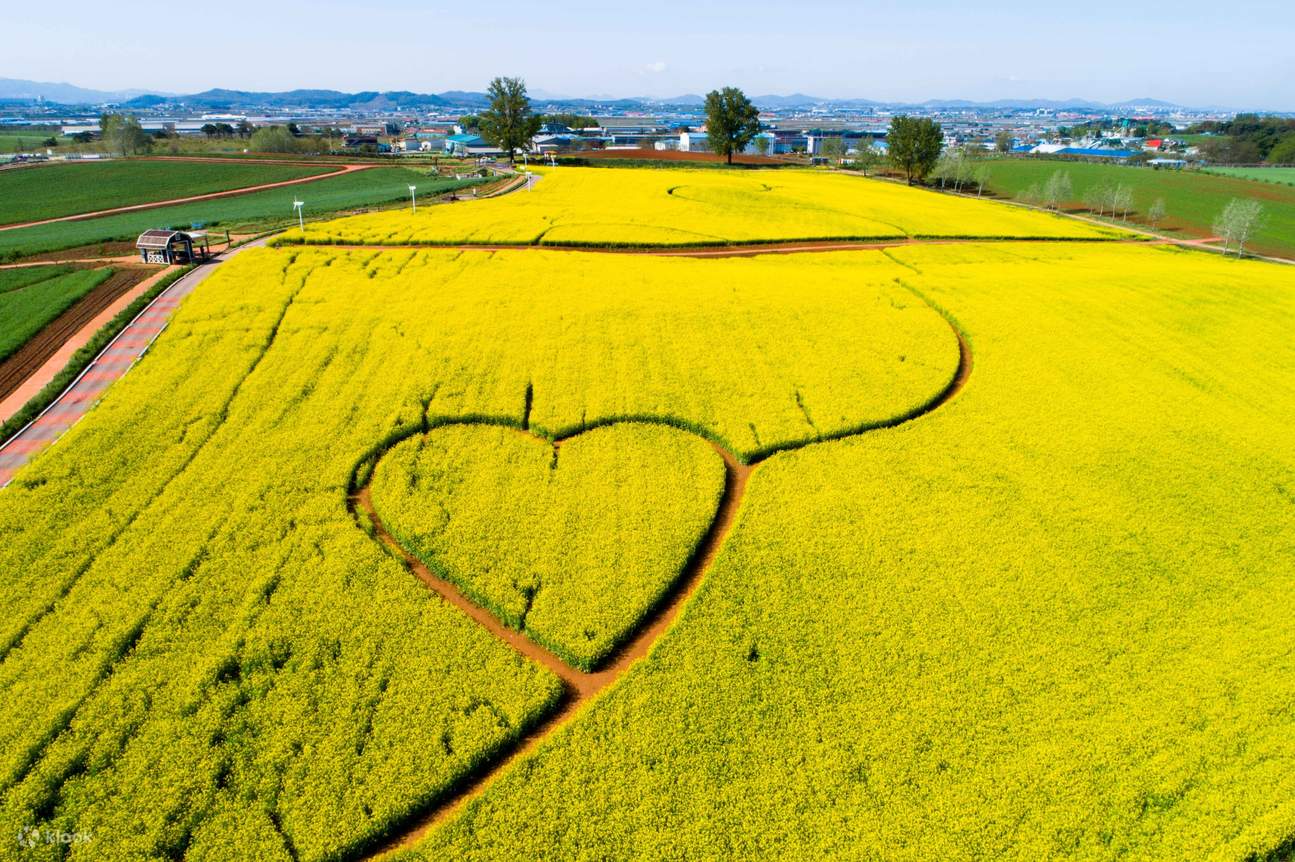 Anseong Inchegol Village and Anseong Farmland Day Trip from Seoul ...