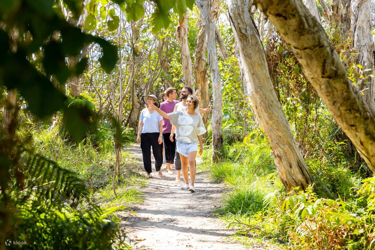 Minjerribah Cultural Experience Private 3-Hour Tour - Klook