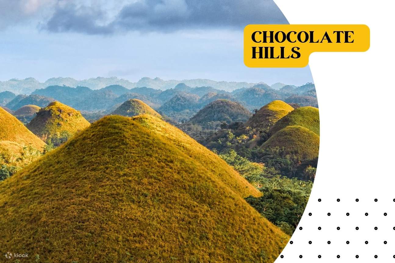 Explore the Best of Bohol: Countryside Tour to Chocolate Hills, Tarsier ...