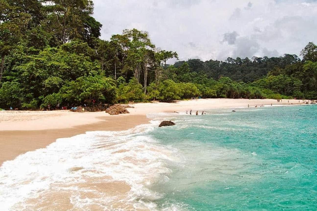 Sukamade Wildlife Adventure with Turtle Conservation Experience - Klook ...