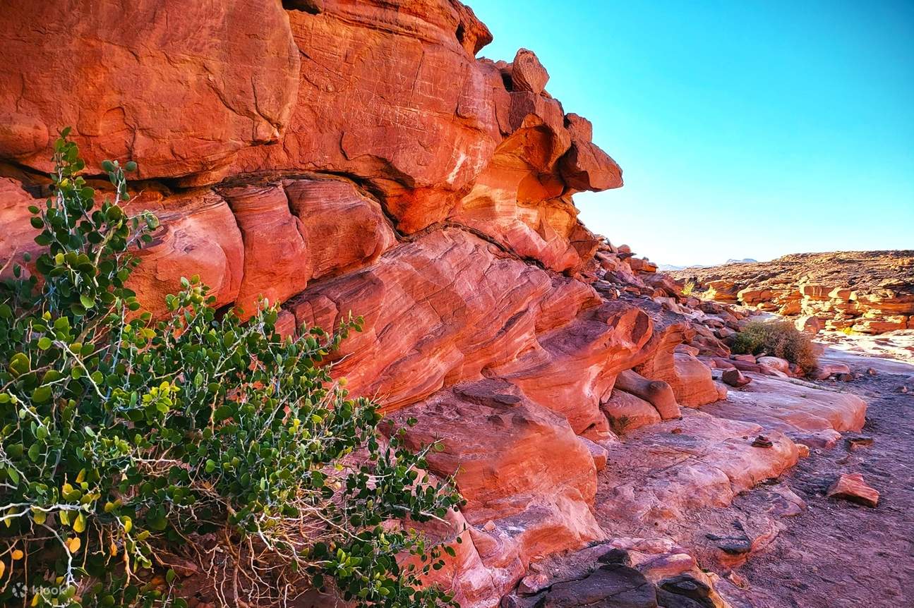 Colored Canyon, Blue Hole and Dahab Tour from Sharm El Sheikh - Klook