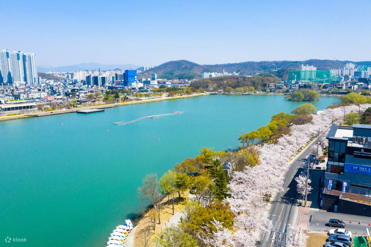 2022 Daegu Powerful K POP Concert One Day Tour Dari Seoul Busan 2022 Daegu Powerful K POP Concert One Day Tour Dari Seoul Busan