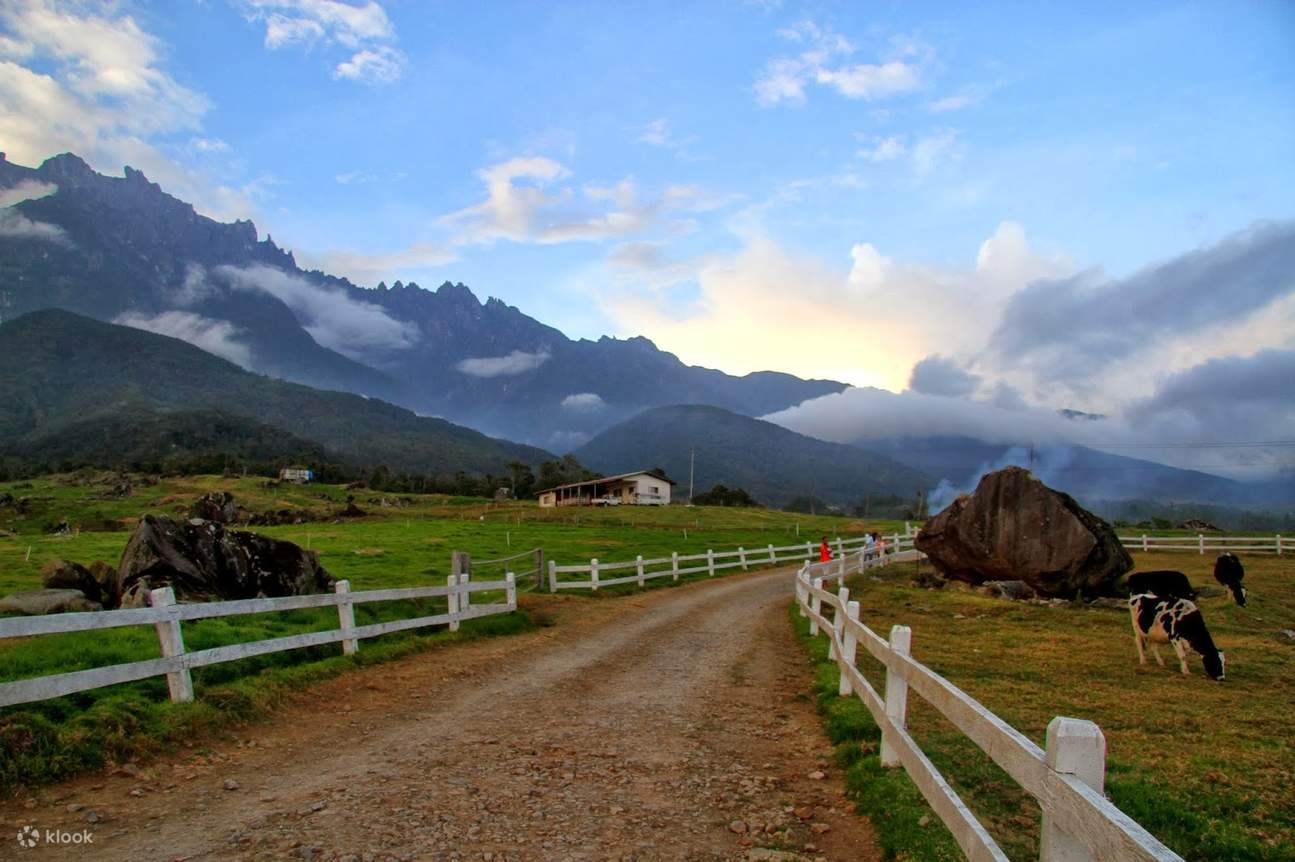 Tur Desa Peternakan Sapi Perah dan Poring Hotspring dengan Lohan ...