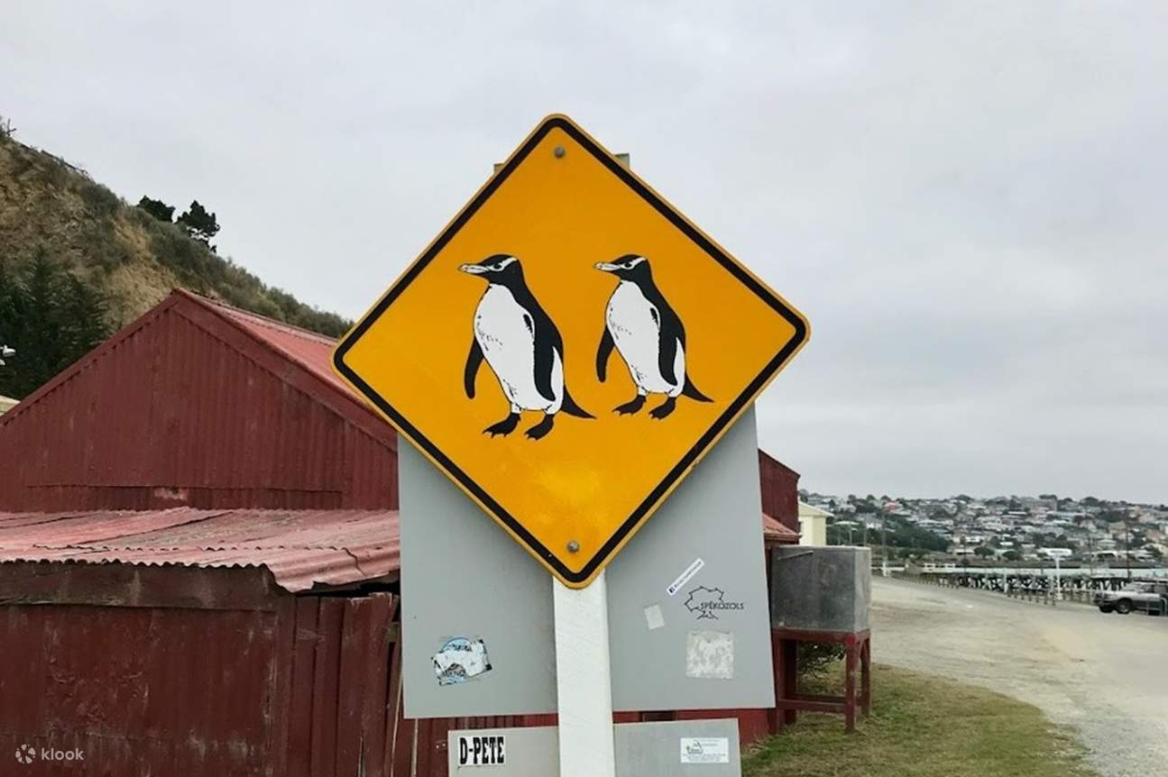 Timaru, Waimate, Oamaru: 6 hour Tour from Timaru - Klook Philippines