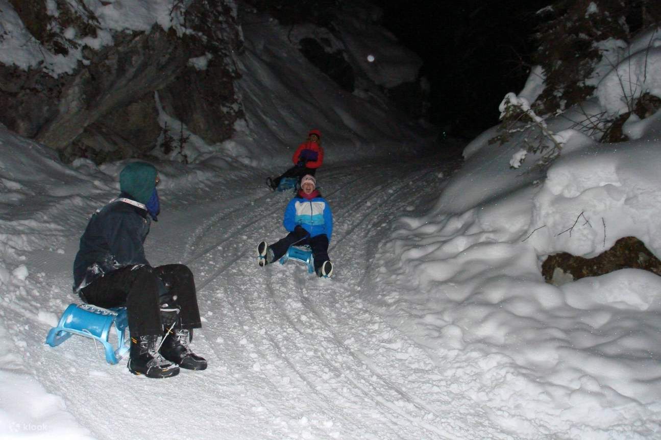 Join In Night Sledding with Fondue in Swiss from Interlaken - Klook