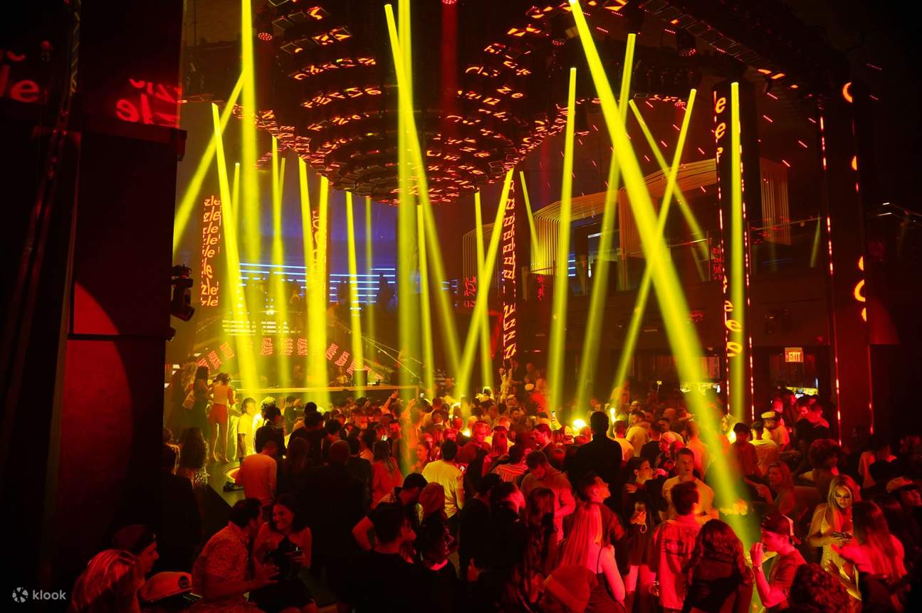 Unwind in Style: Drink up Miami for an All-Inclusive Nightlife ...