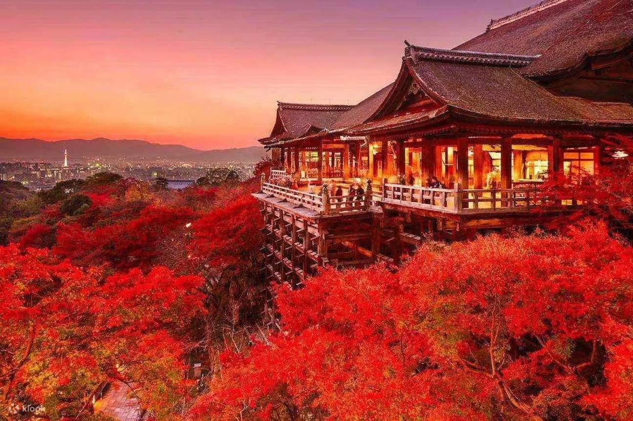 오사카 And 교토 And 나라 And 고베 And 아와지섬 And 아마노하시다테 And 비와호 프라이빗 전세 1일 투어 클룩 Klook 한국