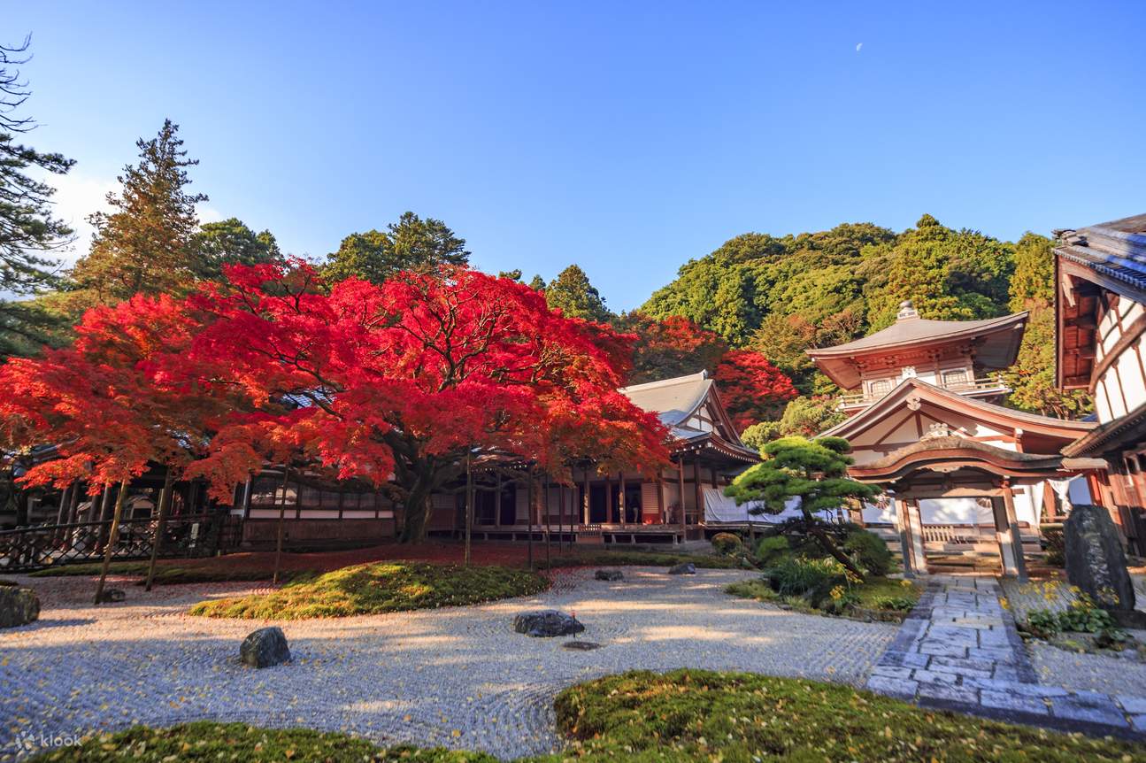 Fukuoka Day Trip: Itoshima Meoto Iwa (Wedded Rocks), Ichiran Forest ...