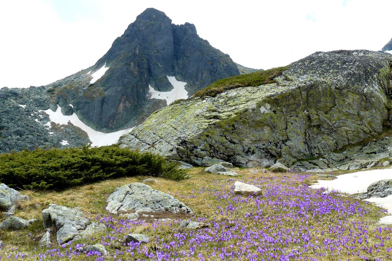 The Seven Rila Lakes Circuit Day Tour from Sofia - Klook Philippines