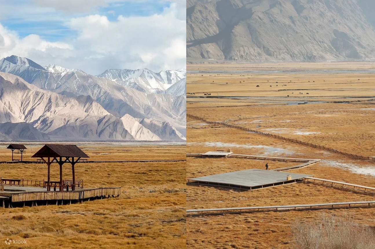 10-Day Private Tour of Xinjiang's North and South Silk Road Highlights ...