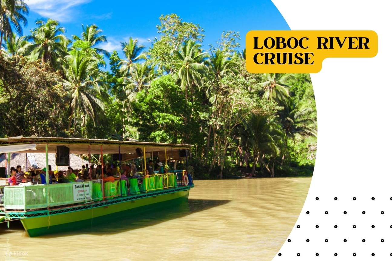 Explore the Best of Bohol: Countryside Tour to Chocolate Hills, Tarsier ...