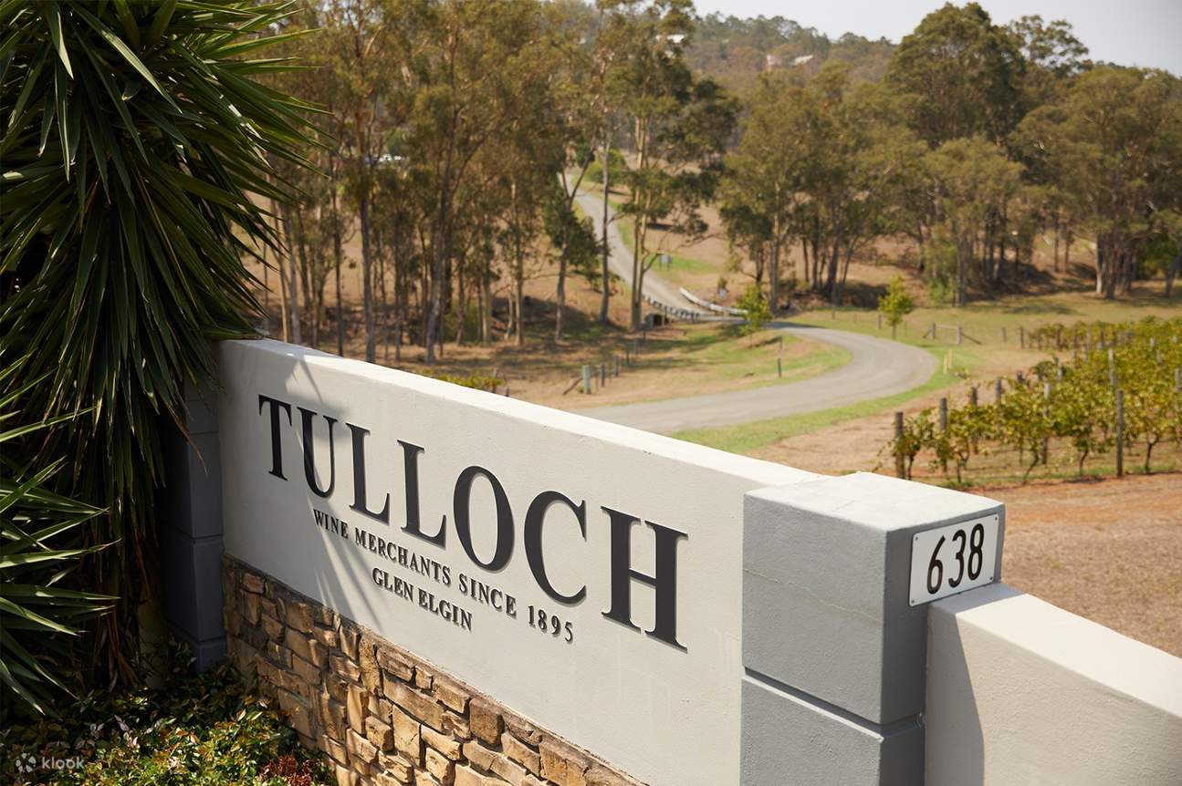 Tulloch Wines Vintage Shiraz Tasting Experience - Klook United States