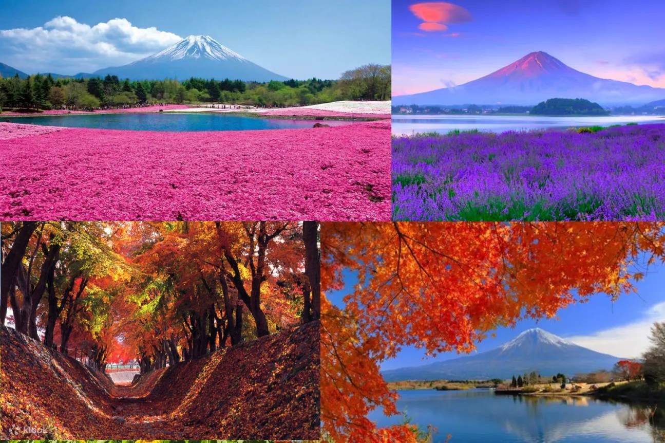 Fuji Area Sightseeing, All-You-Can-Eat Fruits & Mt. Kachi Kachi Ropeway ...