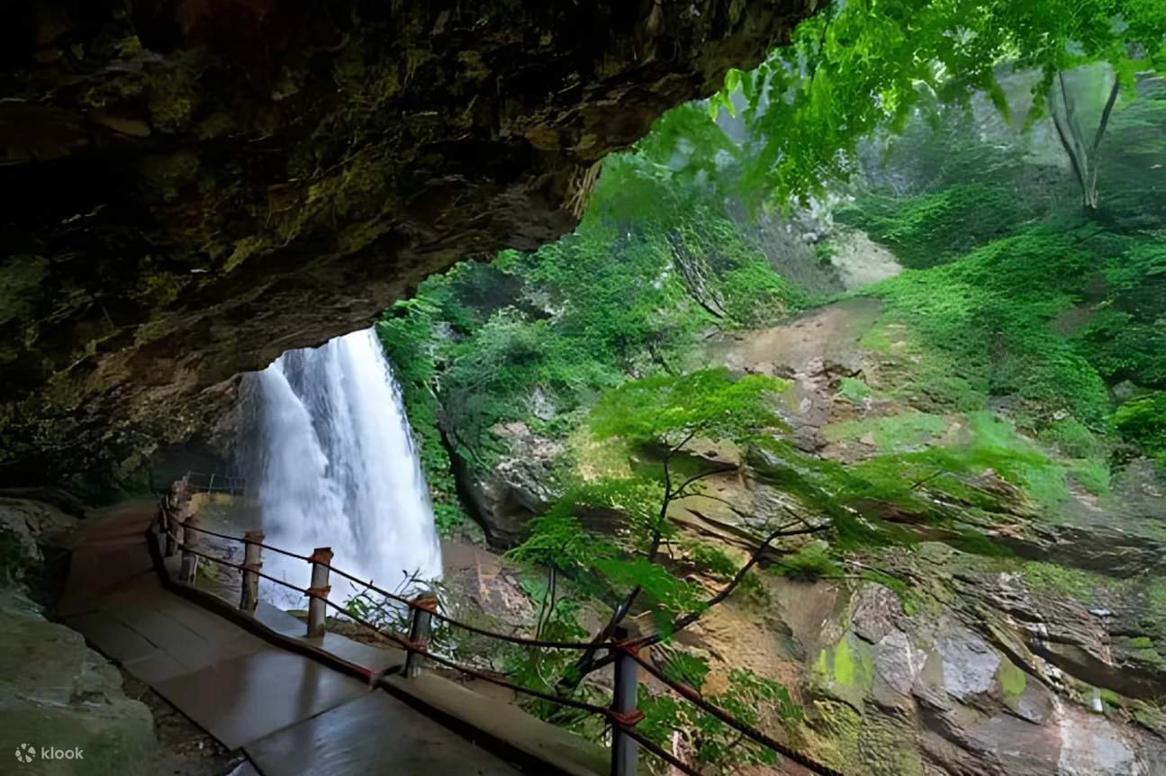 Tur Pribadi Setengah Hari ke Air Terjun Nagano & Pemandian Air Panas ...