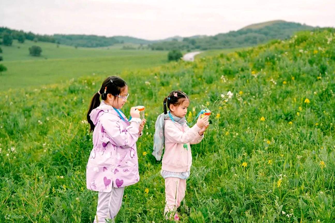 3-Day Tour to Wulanbutong Grassland in Inner Mongolia (2-6 people in ...