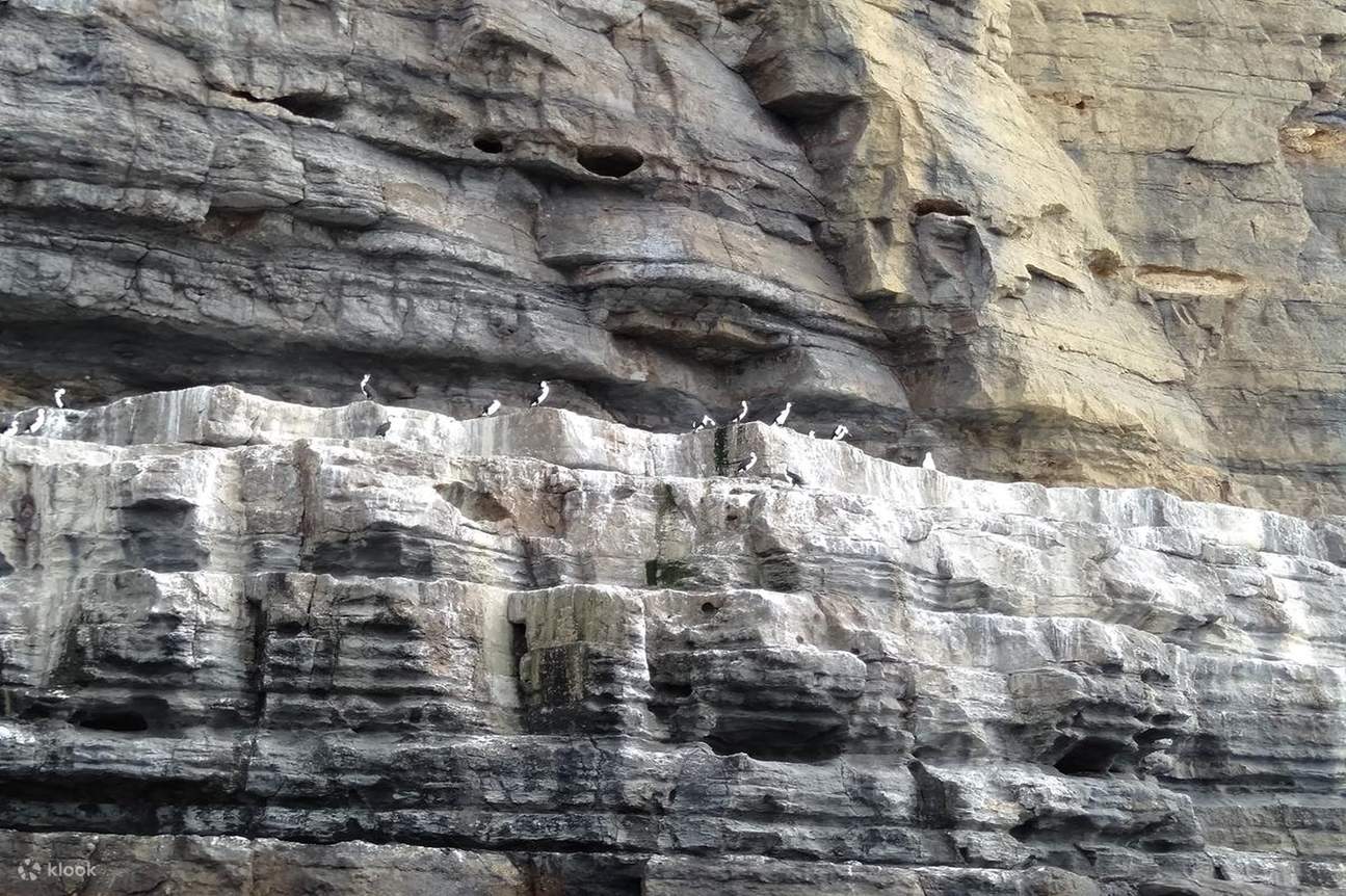 Tasman Island Cruise - Klook