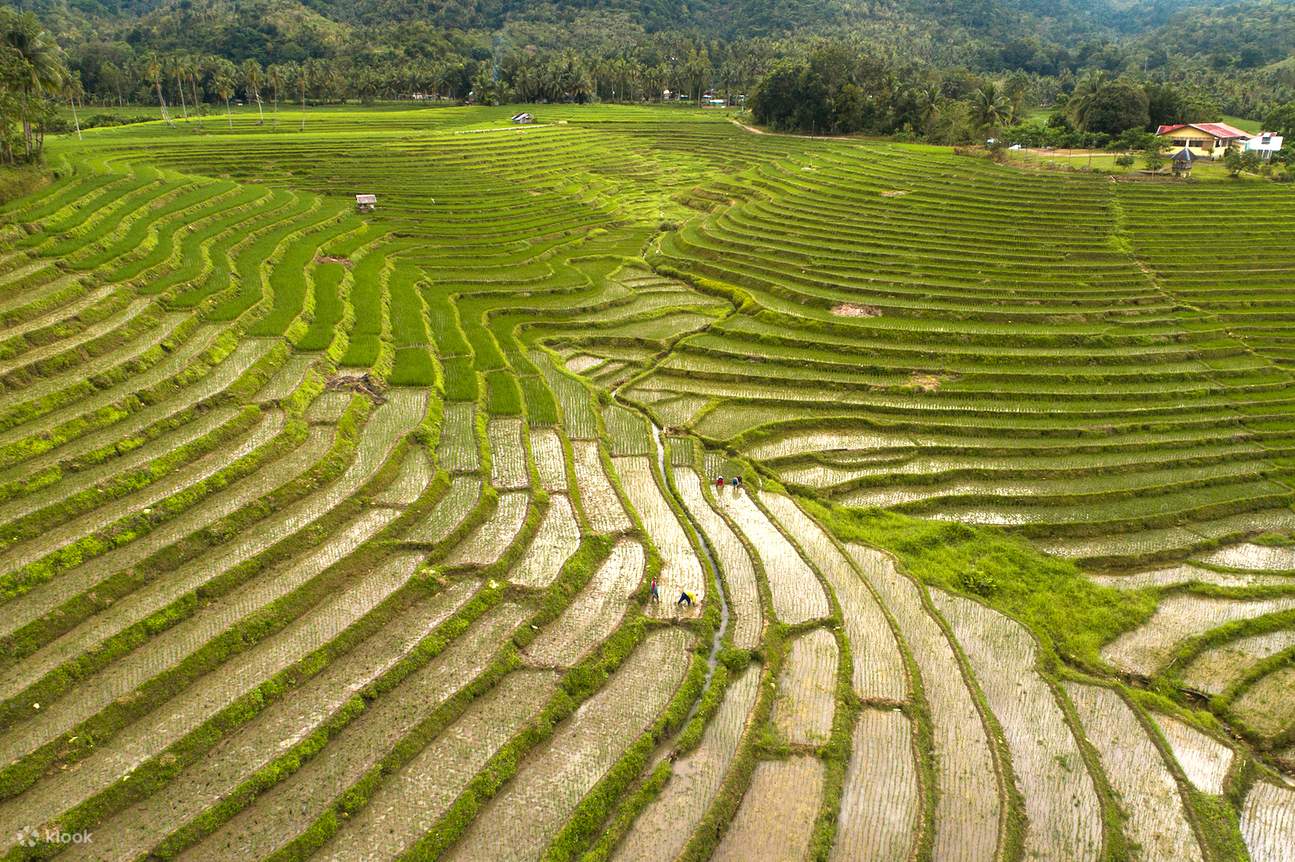 Wonders of Anda Bohol Tour - Klook Malaysia