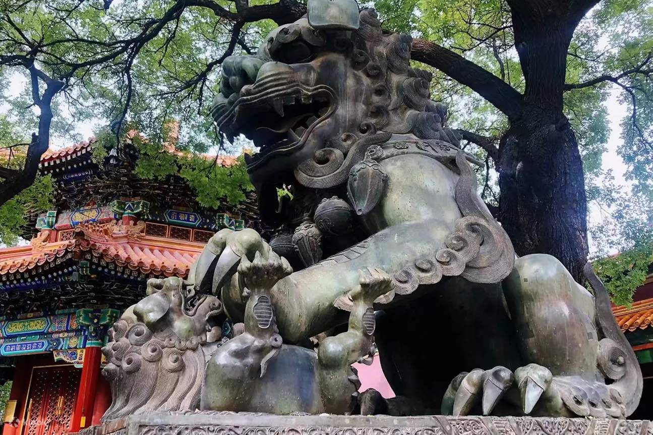 Beijing Prince Gong's Mansion & Lama Temple Double Scenic One-Day Tour ...