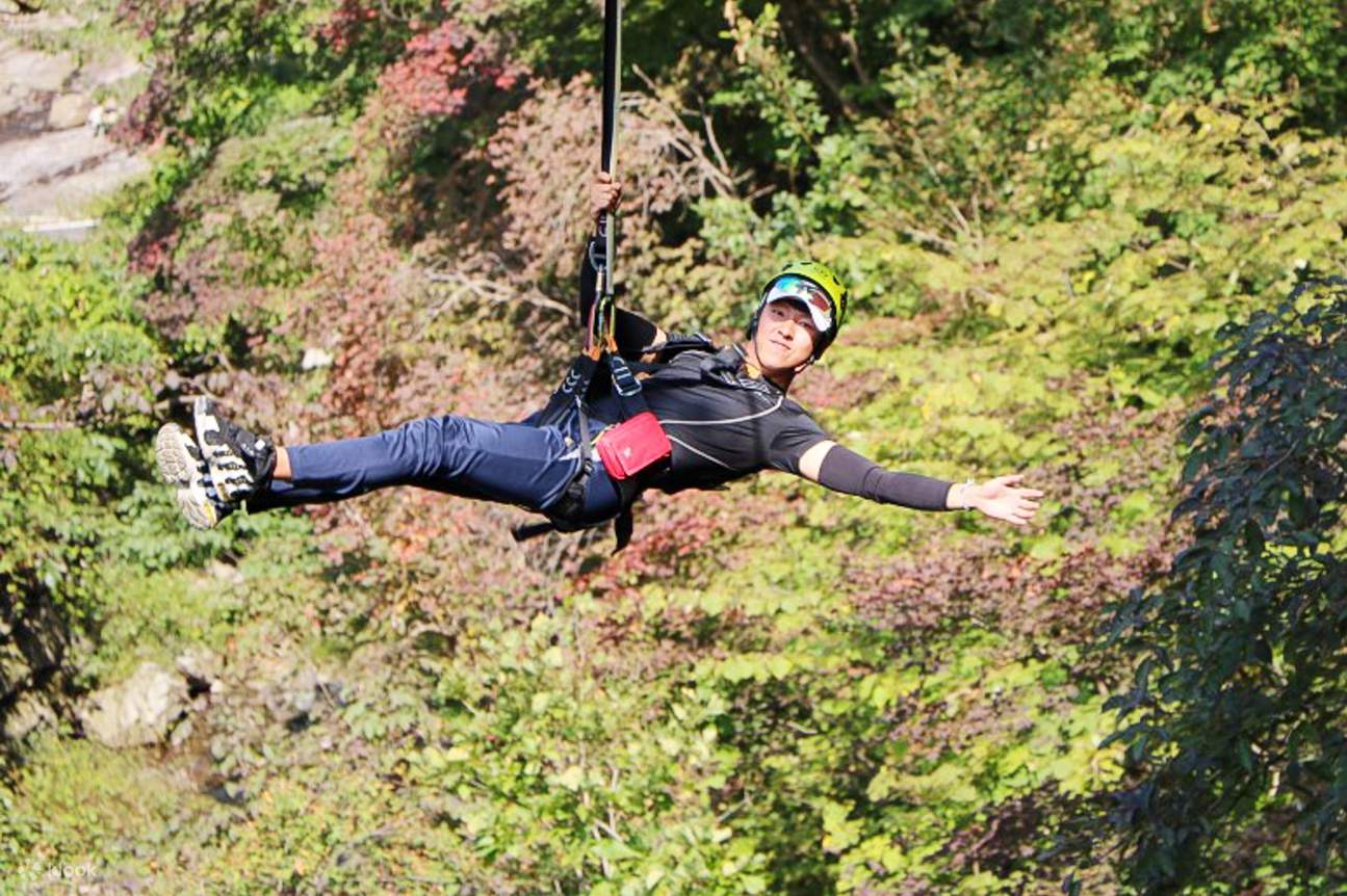 Alpaca World + Garisan Zipwire Day Tour from Seoul - Klook