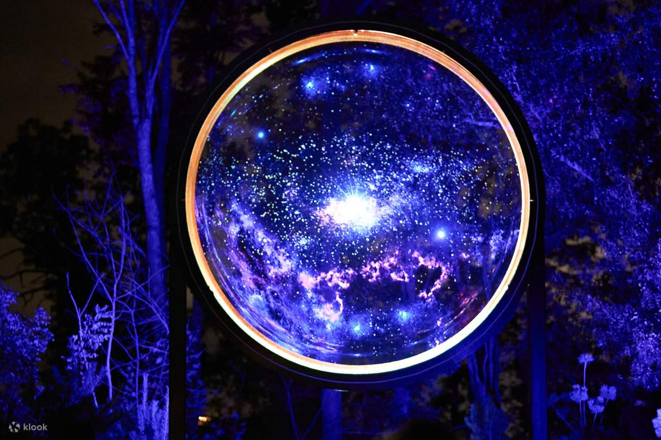 Astra Lumina Gold Coast at Currumbin Wildlife Sanctuary - Klook India
