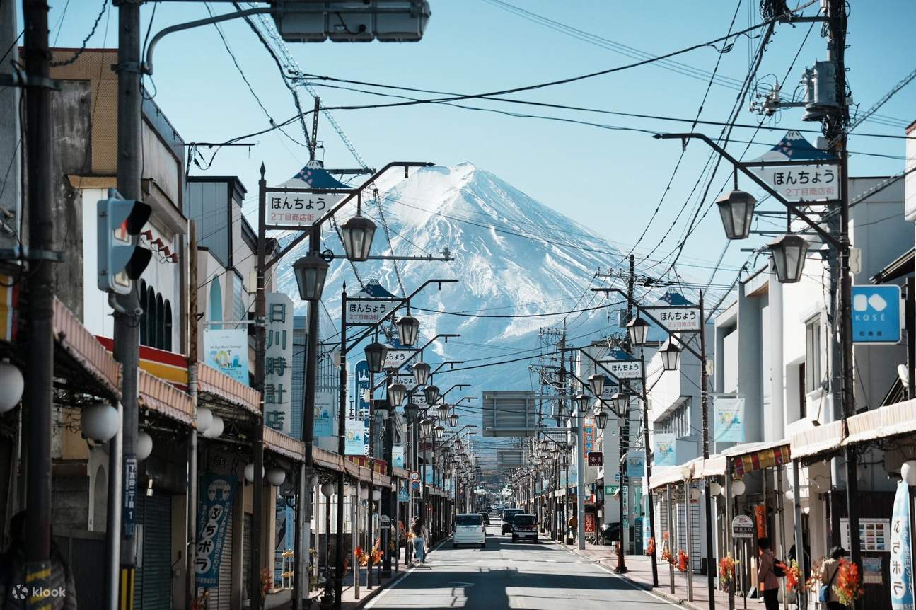 Flower viewing limited one-day tour | Mount Fuji flower viewing ...