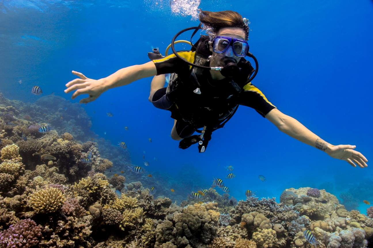 Professional Scuba Diving Full Day Trip With Transfer – Hurghada ...