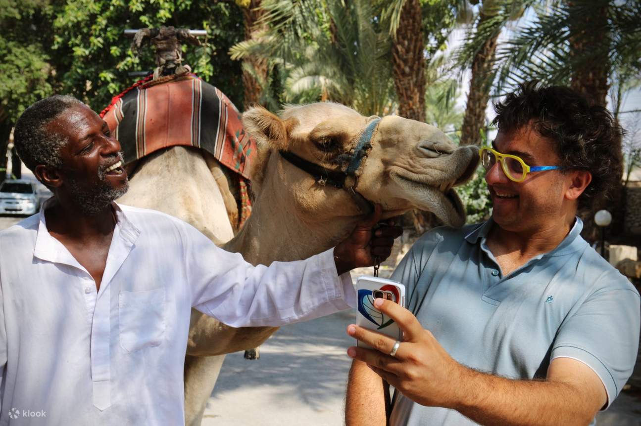 Jericho, Ramallah, and Bethlehem Tour from Tel Aviv - Klook