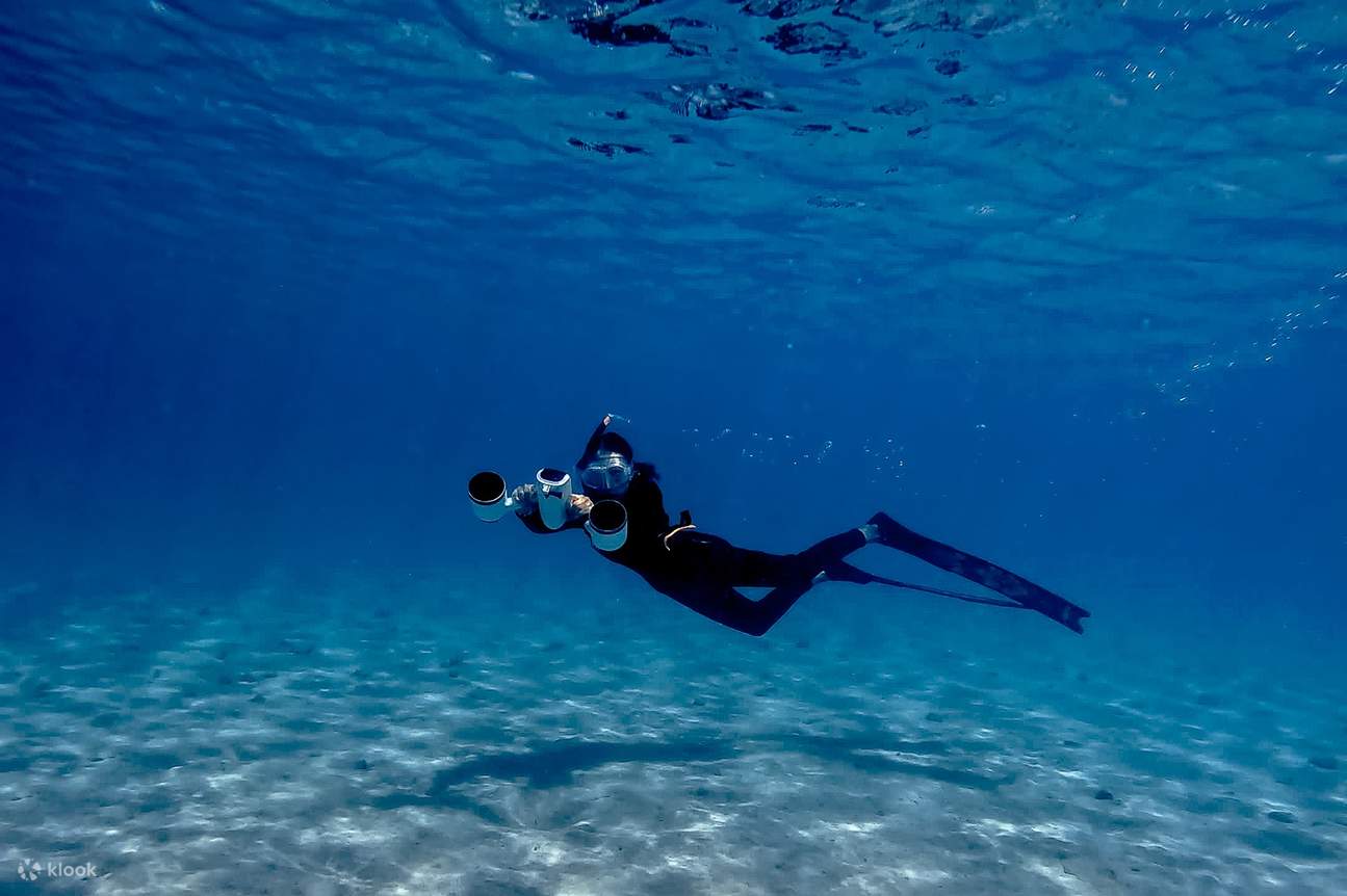 Penghu South Sea Lavender Forest & Rose Garden Diving + Water ...