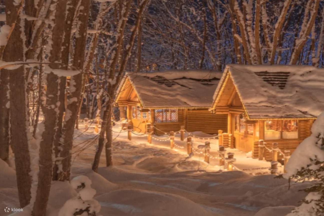 Hokkaido Winter Snow Day Trip | Asahikawa Zoo & Blue Pond & Shirahige ...