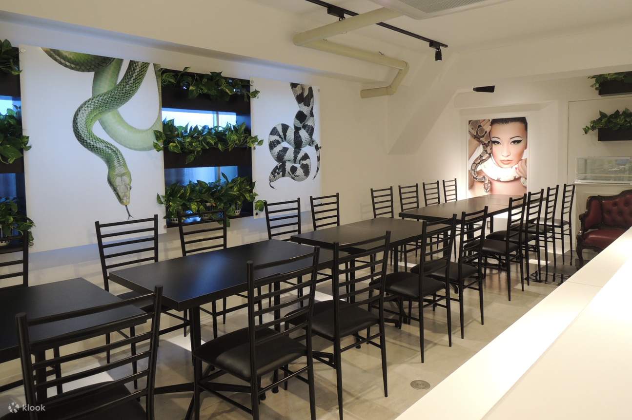 Snake Cafe in Harajuku from Tokyo - Klook Estados Unidos