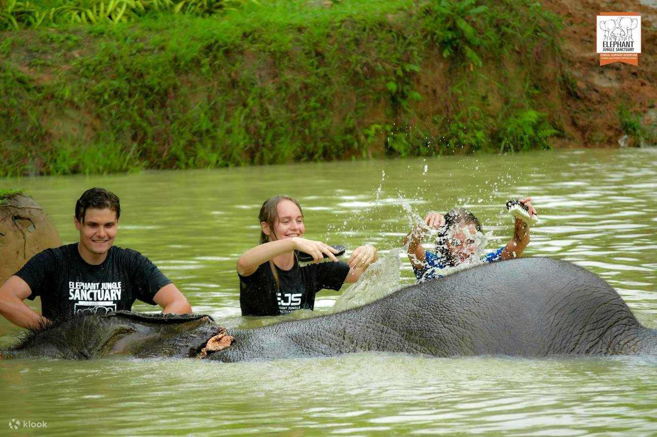 Half Day Visit to Elephant Jungle Sanctuary Phuket - Klook