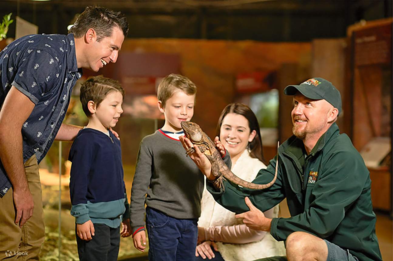Perth Zoo Entry Ticket and Swan River Sightseeing Cruise - Klook Hong Kong