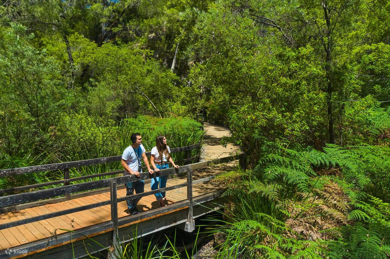 Mammoth Cave Self-Guided Audio Tour in Margaret River - Klook Australia