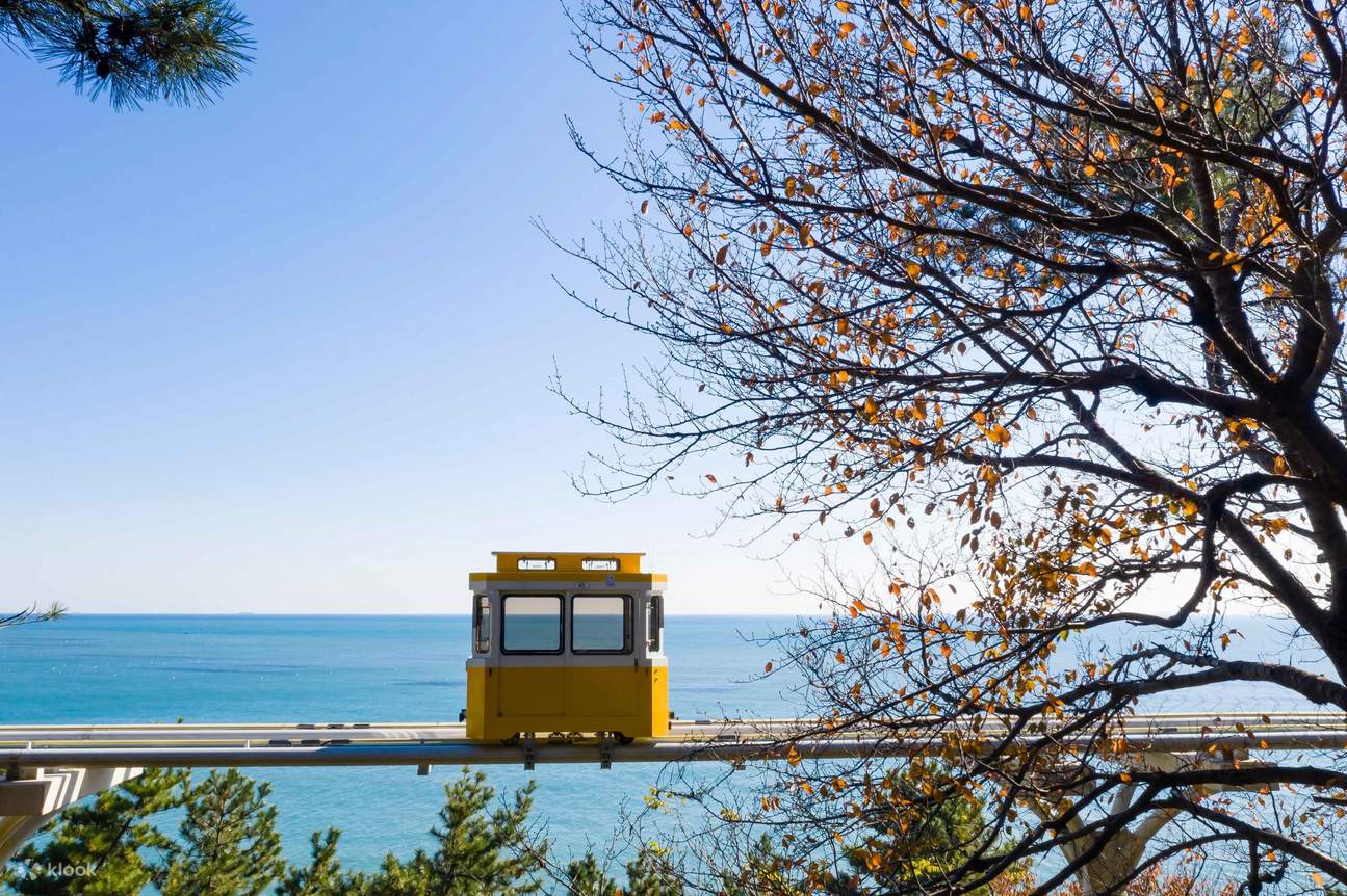 Sunset Haeundae Sky Capsule & Busan Night view Tour - Klook Hong Kong