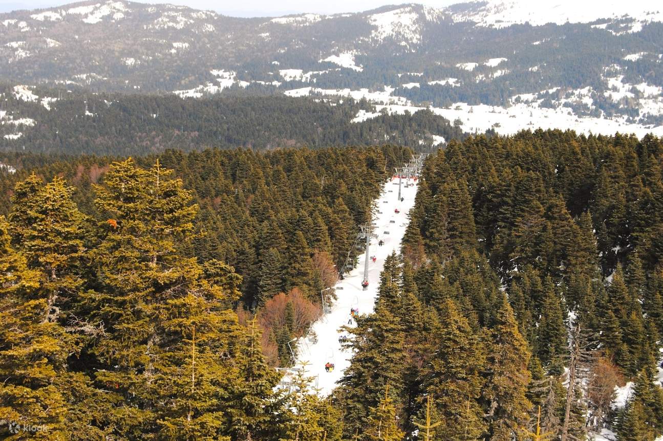 Tur Sehari Gunung Bursa dan Uludag dengan Kereta Gantung dari Istanbul ...