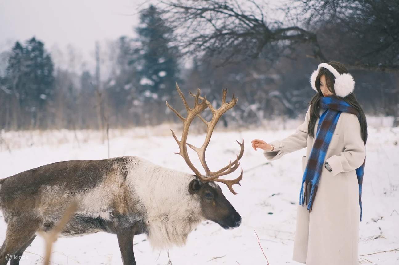5-Day Tour to Snow Town, Harbin, Northeast China (Harbin Ice and Snow ...