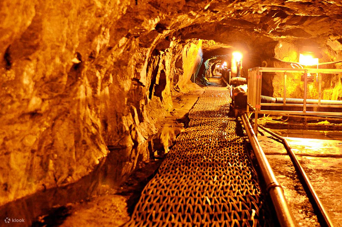 DMZ North Korea Experience & Suspension Bridge Tour from Seoul - Klook ...