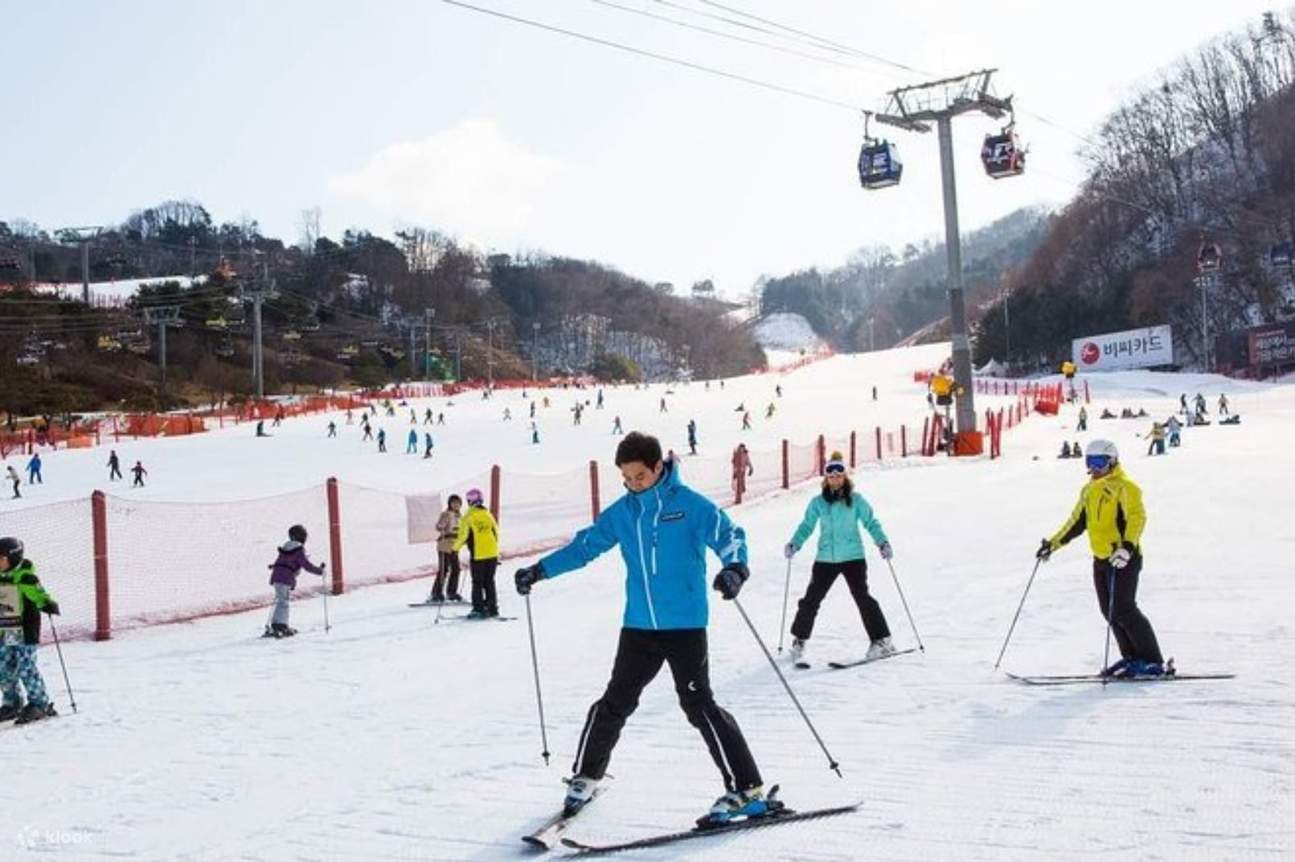 Ski and Sled Adventure at Sono Belle Vivaldi Resort 2N1D Tour - Klook ...